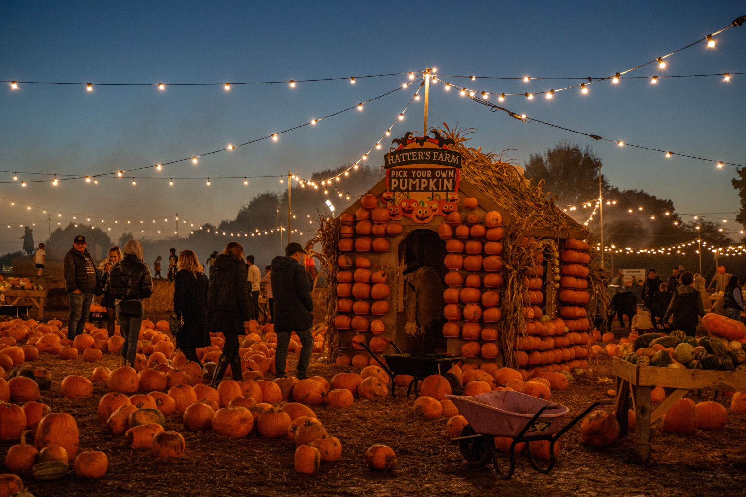 Essex Family-owned Farm Crowned Best British Pumpkin Patch 2025
